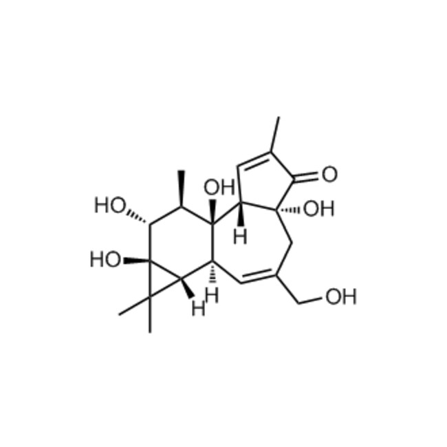 Medchemexpress LLC HY-N2147 5mg , Phorbol CAS:17673-25-5 Purity:>98% ...
