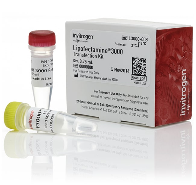 Invitrogen Lipofectamine 3000 Transfection Reagent 0.75 mL:Life Sciences | Fisher Scientific