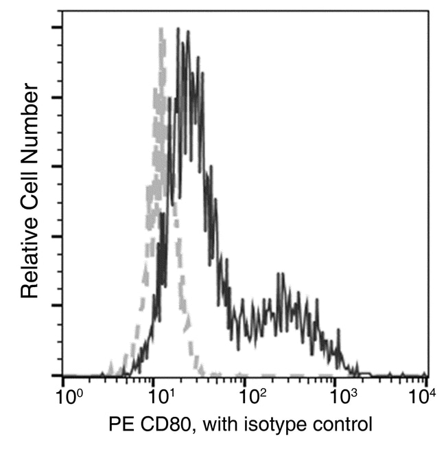 Sino Biological CD80/B7-1 Antibody (PE), Rabbit MAb 25Tests, Quantity ...