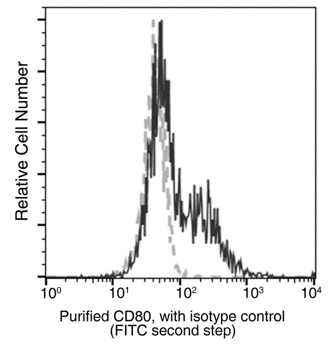 Sino Biological CD80/B7-1 Antibody, Rabbit MAb 50uL, Quantity: Each of ...