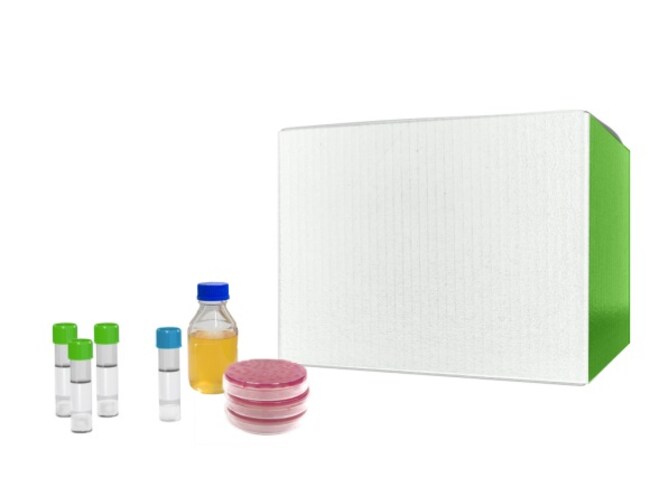 Clontech Labs 3P In-Fusion(T) HD Cloning Plus CE, 10 Rxns IN-FUSION HD ...