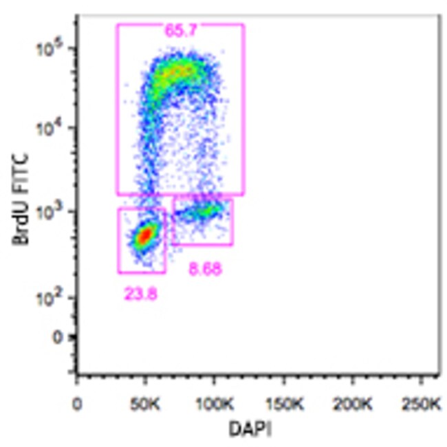 Biolegend Phase-Flow FITC BrdU Kit, Quantity: Each of 1 | Fisher Scientific