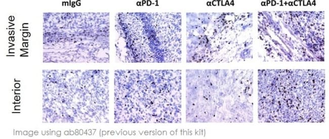Abcam Rabbit specific HRP/DAB Detection IHC Detection Kit - Micro ...