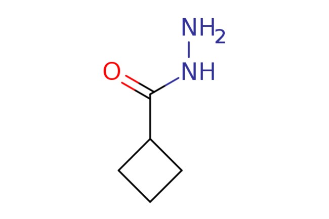eMolecules Combi-Blocks | Cyclobutanecarbohydrazide | 5g | 401040575 ...