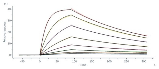 ACROBiosystems SARS-COV-2 SPIKE RBD HIS 100UG, Quantity: Each of 1 | Fisher Scientific