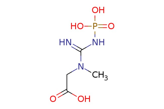 eMolecules Angene Chemical | Creatine phosphate | 25g | 437702988 ...