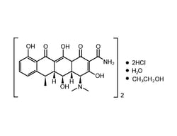 Stemcell Technologies Inc Doxycycline (Hyclate), Size: 10 g, Quantity ...