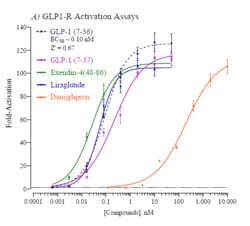 Indigo Biosciences Human Glucagon-Like Peptide-1 Receptor (GLP-1R) All-inclusive | Fisher Scientific