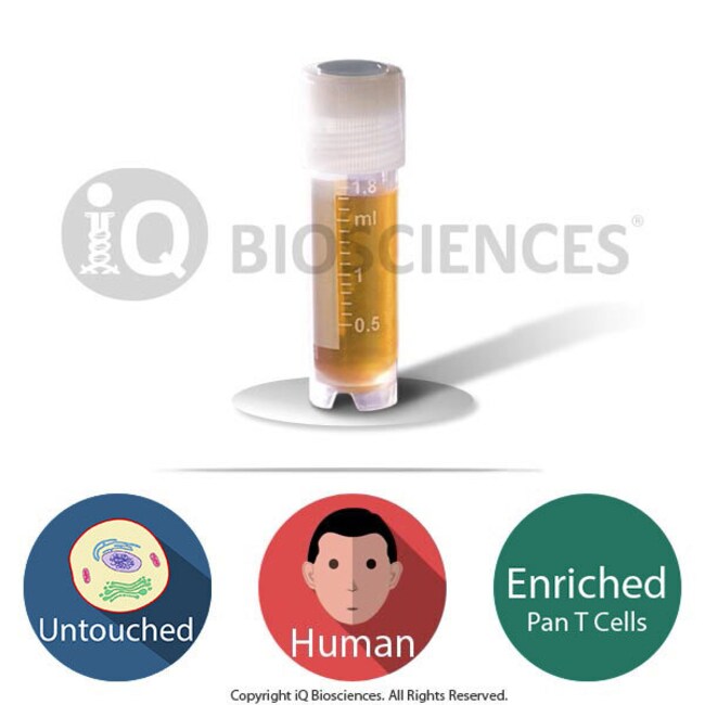 iQ Biosciences Purified Human CD3 Pan T Cells, 50M cells/vial, Quantity ...