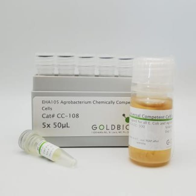 Gold Biotechnology Inc EHA105 Chemically Competent Agrobacterium 5x50µL ...