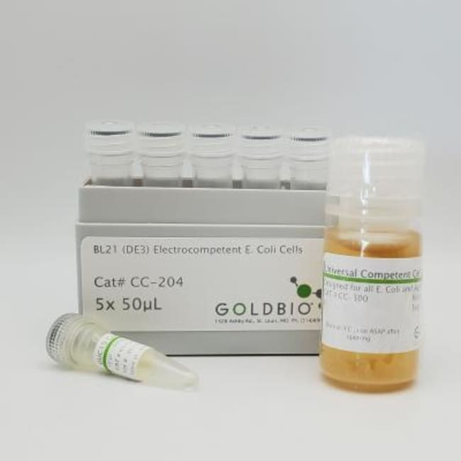 Gold Biotechnology Inc BL21 (DE3) Electrocompetent E. coli Cells 5x50 μl, | Fisher Scientific