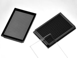 Cellvis 384 Well glass bottom plate with high performance #1.5 cover ...