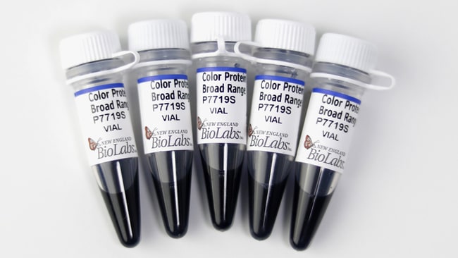 New England Biolabs, Inc. Color Prestained Protein Standard, Broad ...