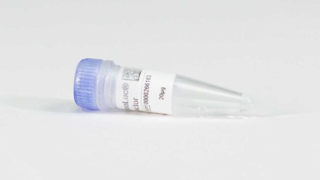 Promega AKT2-NanoLuc Fusion Vector, 20microg AKT2-NanoLuc Fusion Vector ...