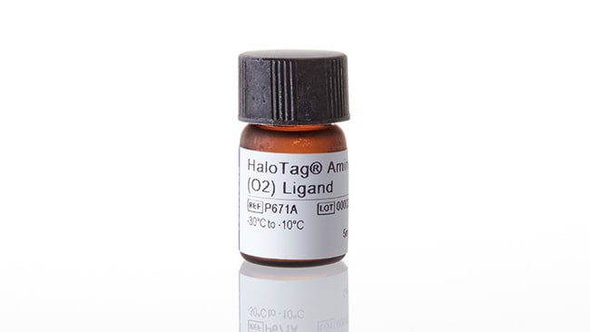 Promega HaloTag Amine (O2) Ligand 5 mg | Buy Online | Promega | Fisher ...