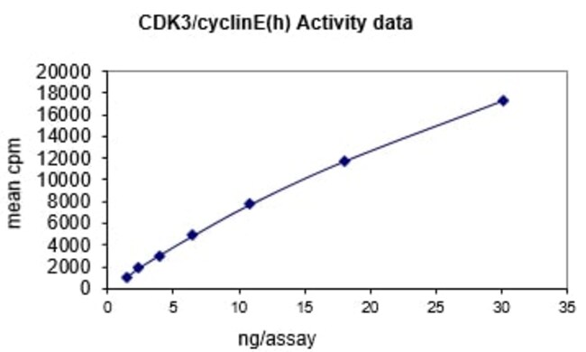 Eurofins DiscoverX Cdk3/Cyclin E Protein, Active Quantity: 10 μg ...