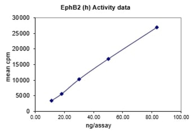 Eurofins DiscoverX EphB2 Protein, Active Quantity: 10 μg:Proteínas ...