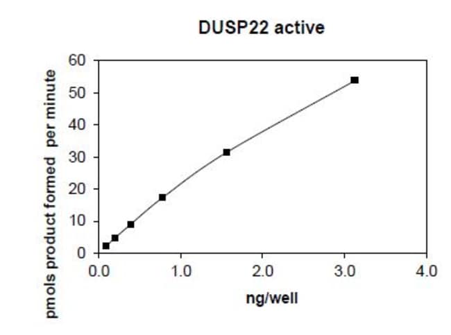 Eurofins DiscoverX DUSP22 Protein Quantity: 10 μg Eurofins DiscoverX ...