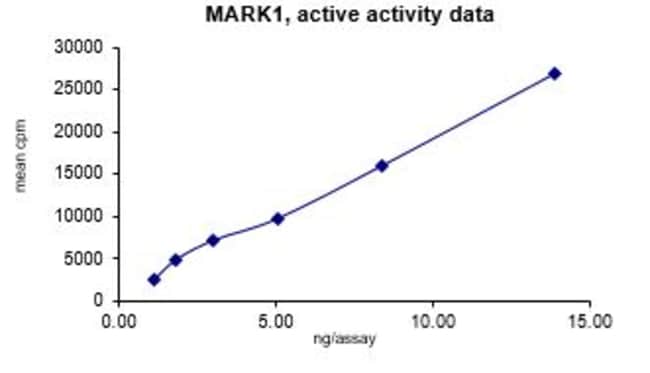 Eurofins DiscoverX MARK1 Protein, Active Quantity: 10 μg Eurofins ...