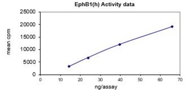 Eurofins DiscoverX EphB1 Protein, Active Quantity: 10 μg:Recombinant ...