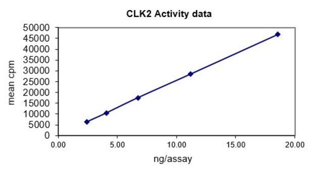 Eurofins DiscoverX CLK2 Protein, Active Quantity: 250 μg:Proteínas ...