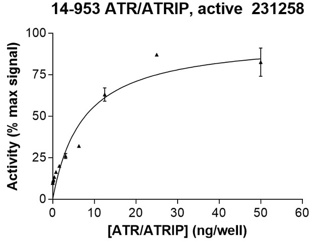Eurofins DiscoverX ATR/ATRIP Protein, Active 10 μg | Buy Online ...