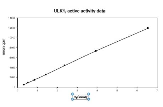 Eurofins DiscoverX ULK1 Protein, Active Quantity: 250 μg | Fisher ...
