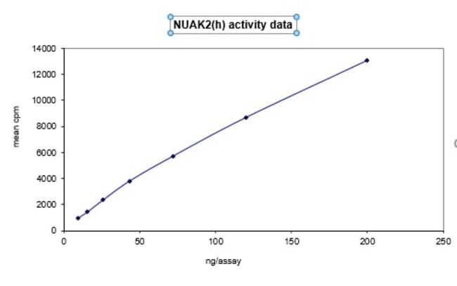 Eurofins DiscoverX NUAK2 Protein, Active 10 μg | Buy Online | Eurofins ...