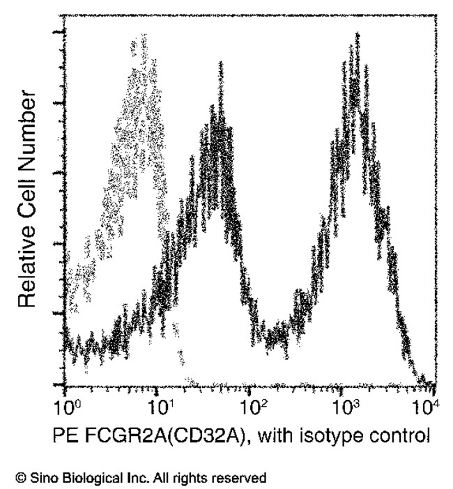 Sino Biological CD32a/FCGR2A/Fc gamma RIIA Antibody (PE), Mouse MAb ...