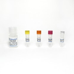 TRIBIOSCIENCE INC NADH/NAD Quantification Colorimetric Assay Kit, 100 ...