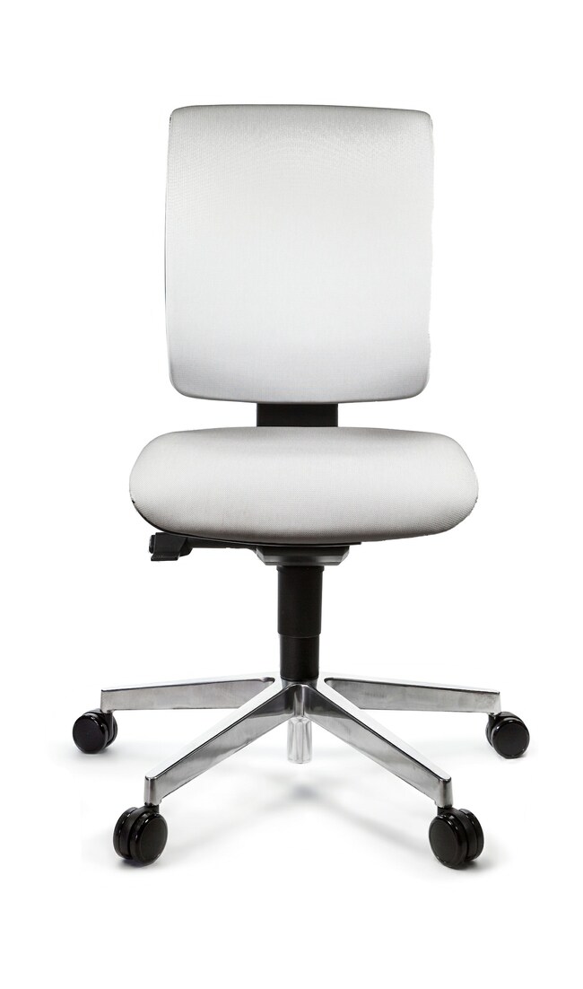 Techsit™ Pro-Tech Laboratory Low Chair Color: Gray; Arms: No Techsit ...