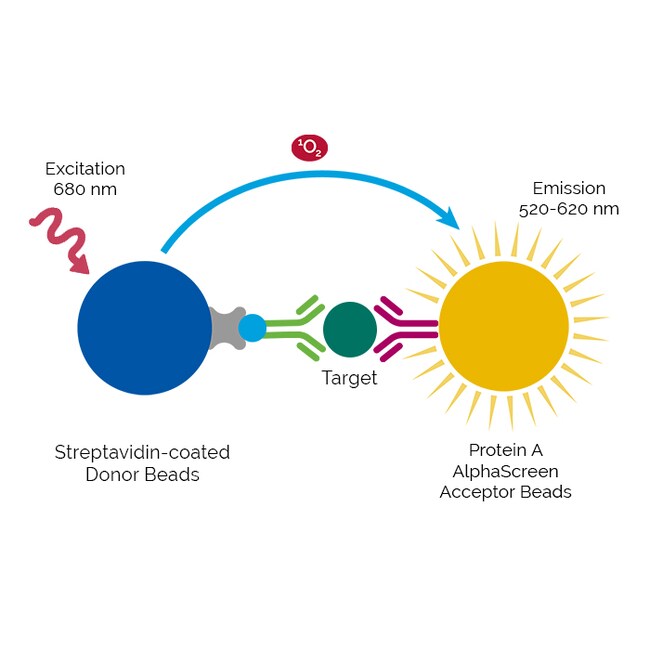 Perkin Elmer LLC AlphaScreenSureFire HV IgG (Protein A) Detection Kit ...