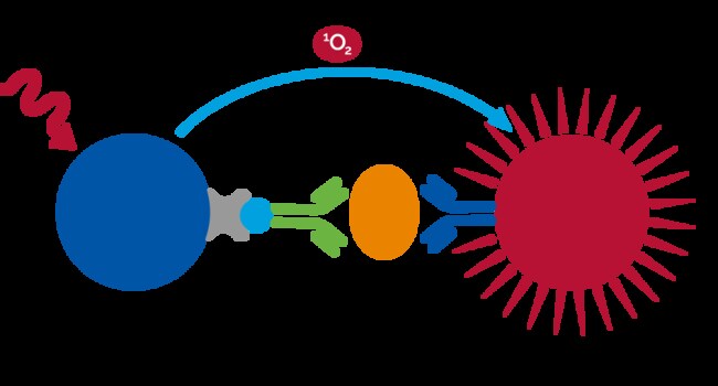 Perkin Elmer LLC AlphaLISA Total Histone H4 Cellular Detection Kit ...