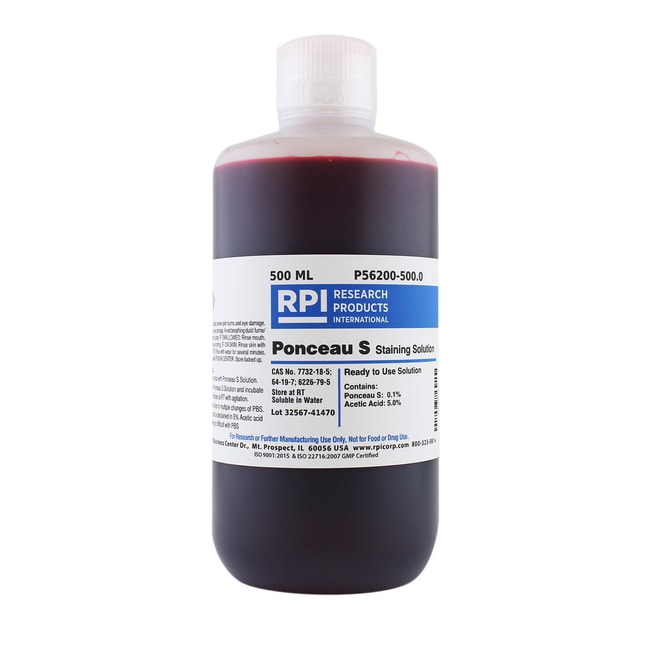 Research Products International Corp Ponceau S Staining Solution, 500 ...