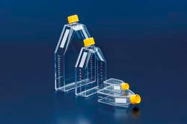 Andwin Scientific T75 TPP Tissue Culture Flasks with Filtered Cap, 100 ...