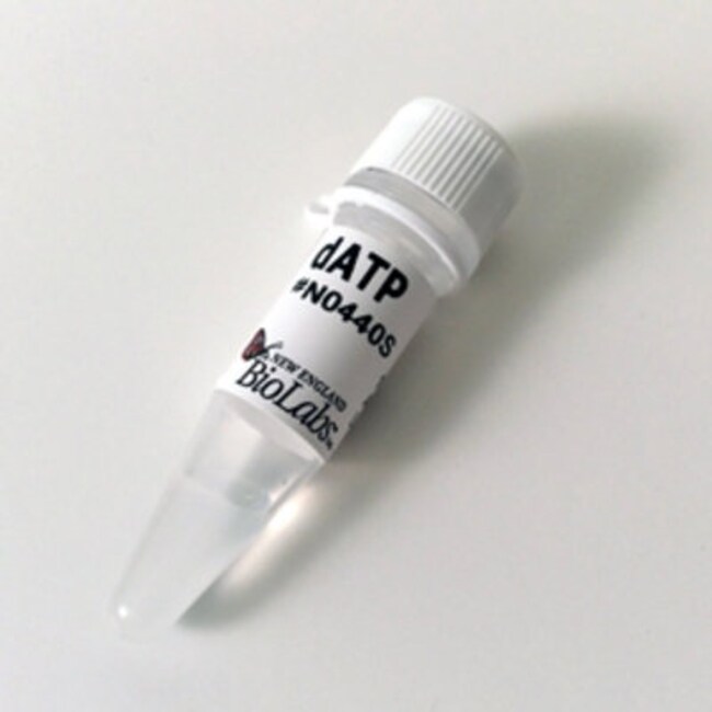 New England Biolabs Inc DATP Solution 25 mol Fisher Scientific