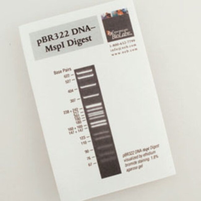 New England Biolabs, Inc. pBR322 DNA-MspI Digest – 0.05 ml, Quantity: Each | Fisher Scientific