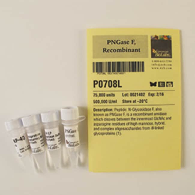 New England Biolabs, Inc. PNGase F Recombinant - 75,000 units PNGASE F ...