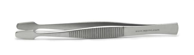 World Precision Instrument Filter Forceps, 11cm, Straight, Quantity ...