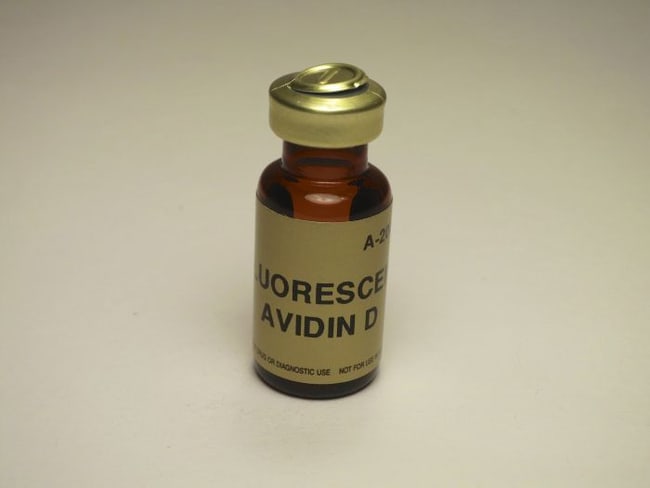 Vector Laboratories Fluorescein Avidin D (FITC) 5 mg, Quantity: Each of ...