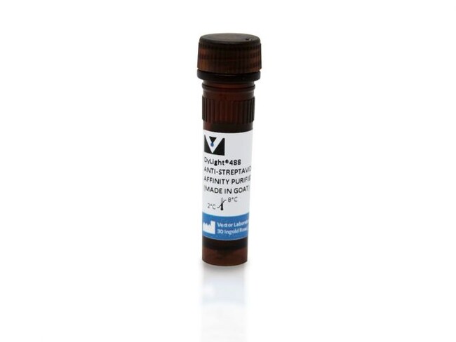 Vector Laboratories DyLight 488 Anti-Streptavidin Antibody 0.5 mg ...