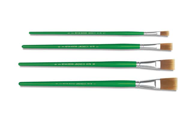 Electron Microscopy Sciences EMS Golden Nylon Brushes, set of 4 ...