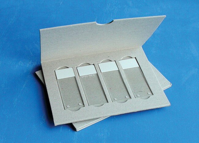 Electron Microscopy Sciences Solid Cardboard 4 Microscope Slide Mailer ...
