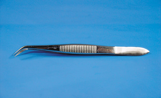 Electron Microscopy Sciences 4" Forceps with Curved Tips, Stainless ...