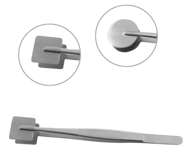 Electron Microscopy Sciences EMS Specimen Paddle Forceps, 1 ea, Quantity: | Fisher Scientific
