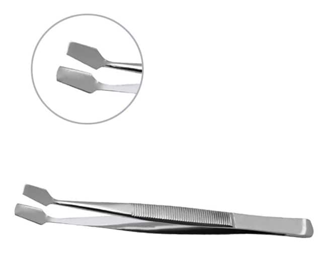 Electron Microscopy Sciences EMS Kuehne Coverglass/Specimen Forceps, 4.5" | Fisher Scientific