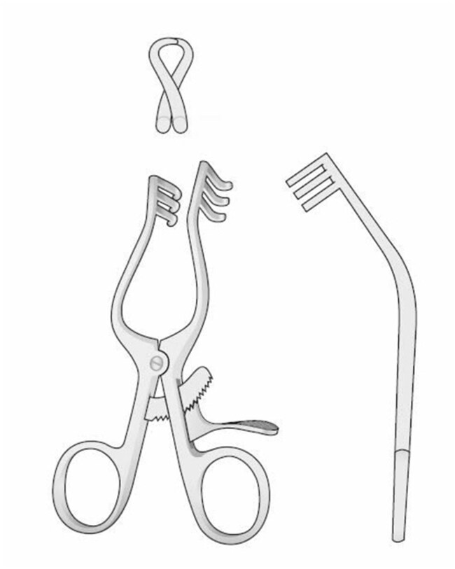 Electron Microscopy Sciences Surgical tools, 1/EA, Quantity: Each of 1 | Fisher Scientific