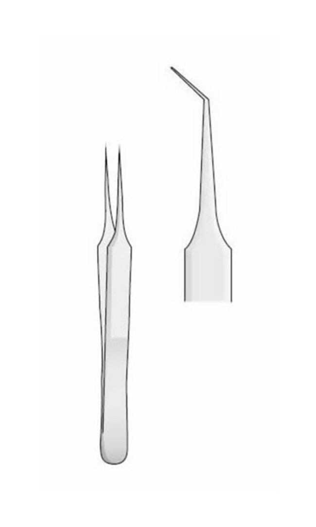 Electron Microscopy Sciences Surgical tools, 1/EA, Quantity: Each of 1 | Fisher Scientific
