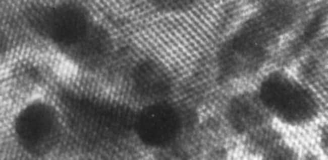 Electron Microscopy Sciences Potassium Chloroplatinate Crystals ...