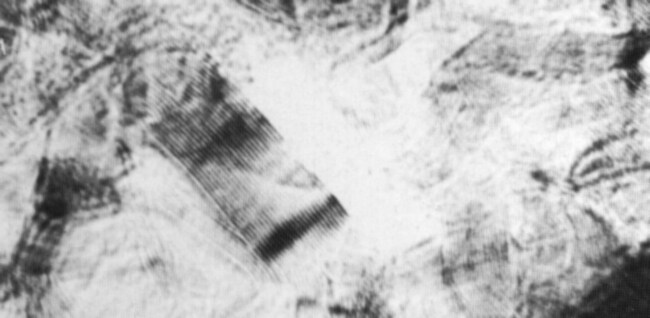 Electron Microscopy Sciences Graphitized Carbon Black Crystals ...